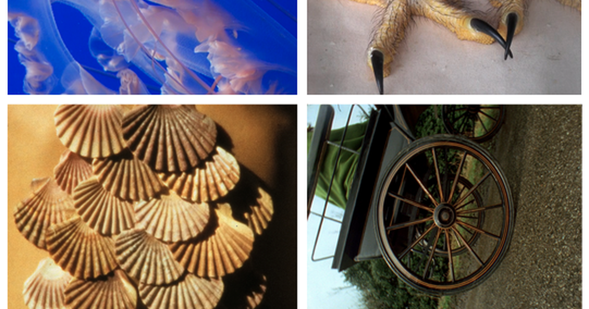 Denise Batchelor, EXPERIMENT 120 for Border Crossing | Contemporary Hum