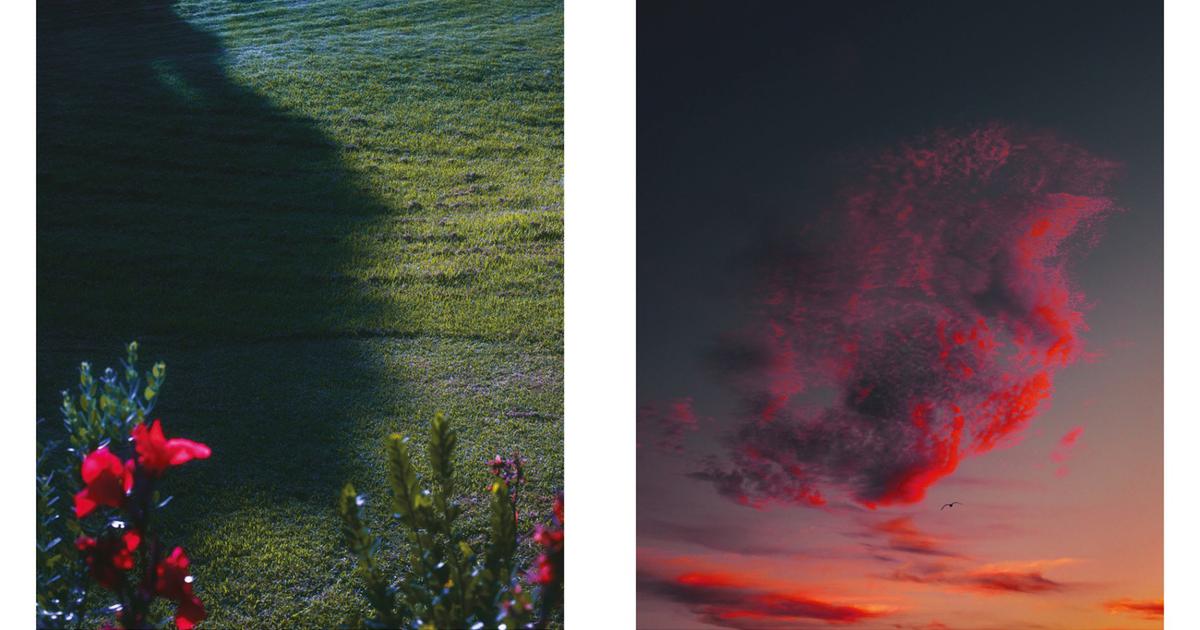 Stephanie O'Connor, All stars stand close in summer air | Contemporary Hum