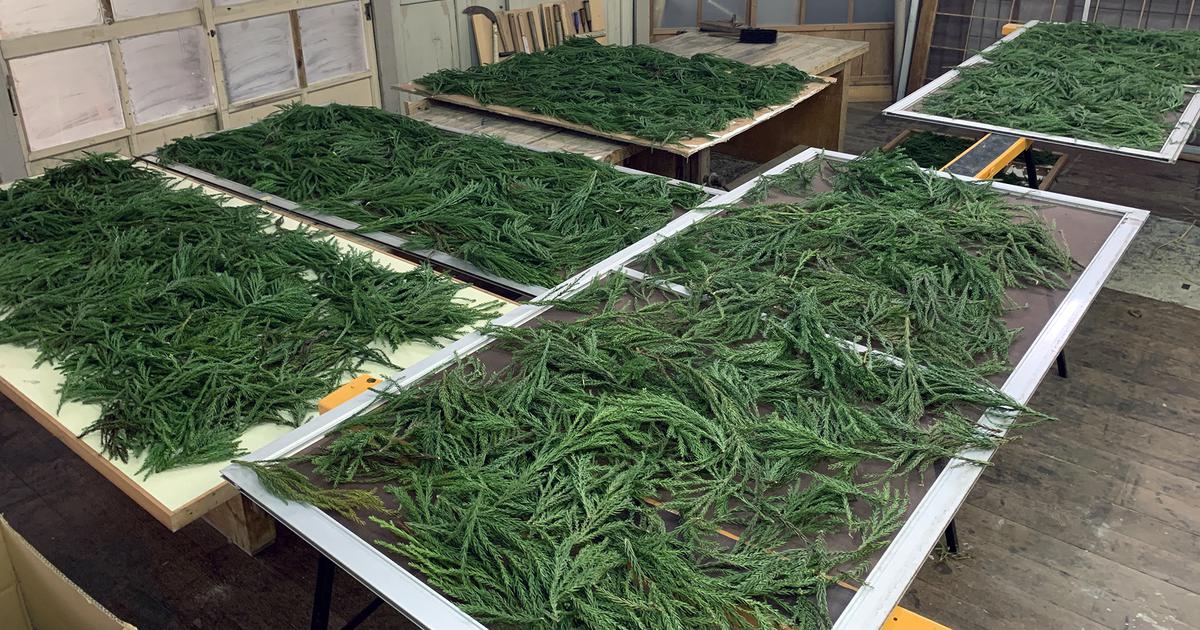 Yukari 海堀 Kaihori, KAIR Artist Residence 2024 Exhibition and Art Tour ...